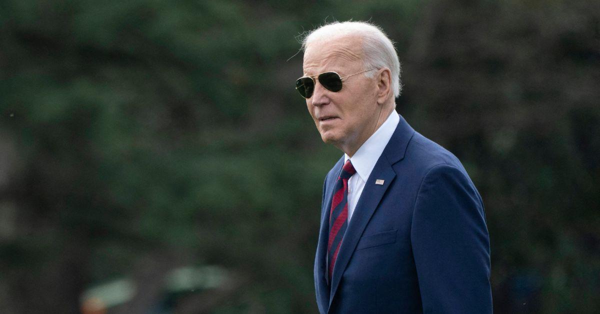 Donald Trump Nicknamed 'Hitler Pig' by President Biden's Younger ...