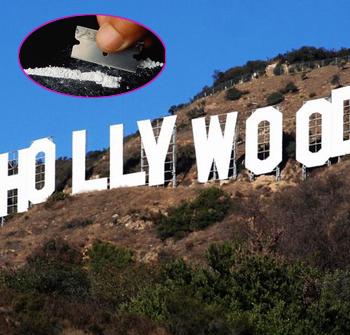 EXCLUSIVE: Who Is The Mystery Hollywood Star Caught On Camera Snorting ...