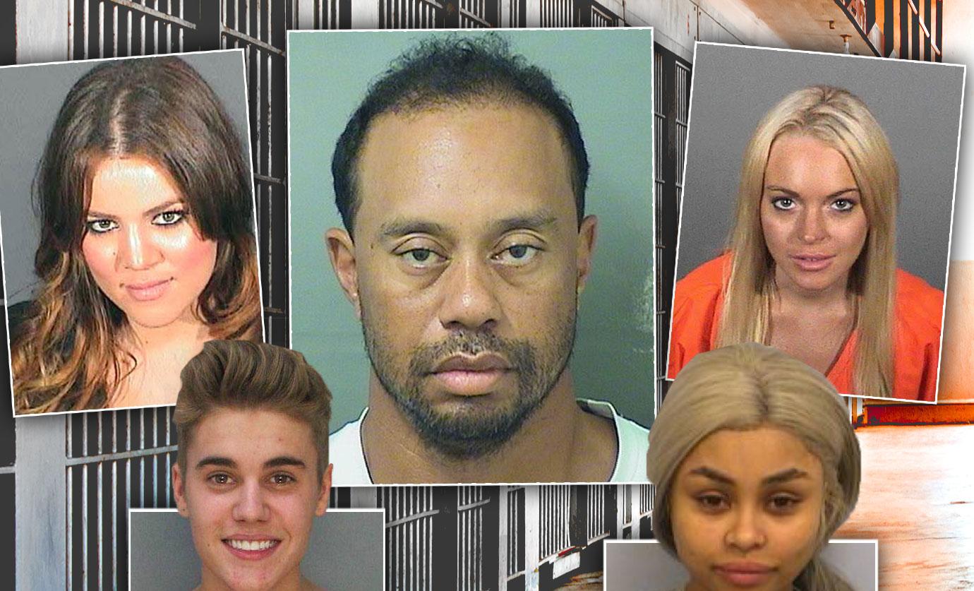 Stars Behind Bars! Hollywood's Most Sensational Mug Shots REVEALED