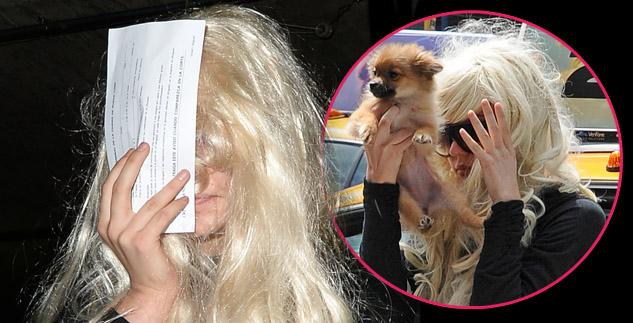 This Is The Reason For Her Behavior: Troubled Amanda Bynes Formally ...