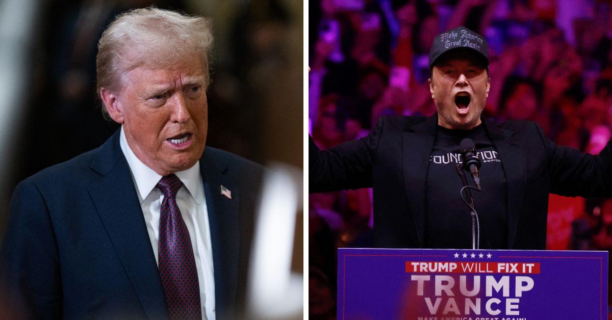 Inside Musk's DOGE Role In Trump's Administration – As Department Sued