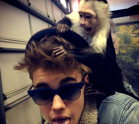 Is He Bananas? Justin Bieber's Monkey Confiscated In Germany