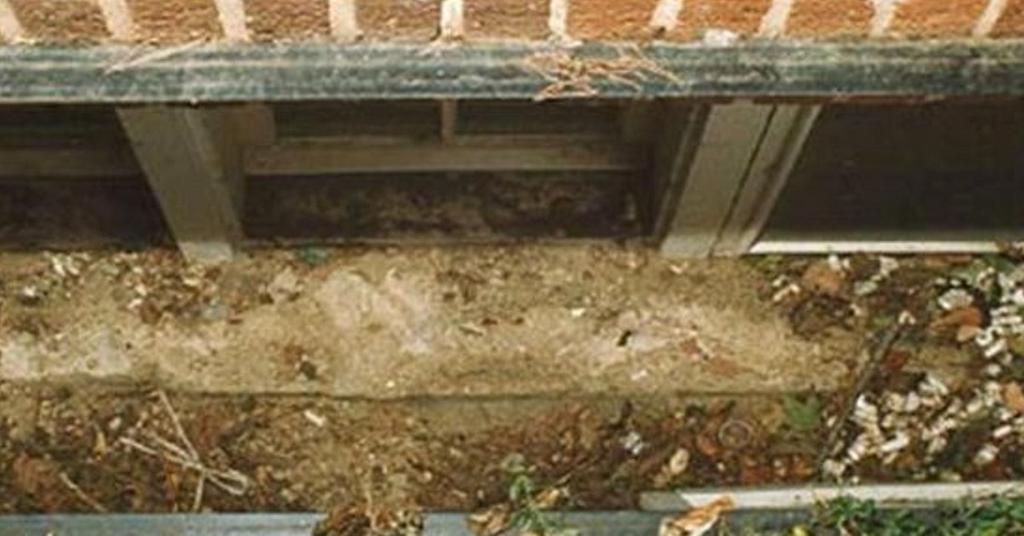 Most Shocking JonBenét Ramsey Crime Scene Gallery Yet