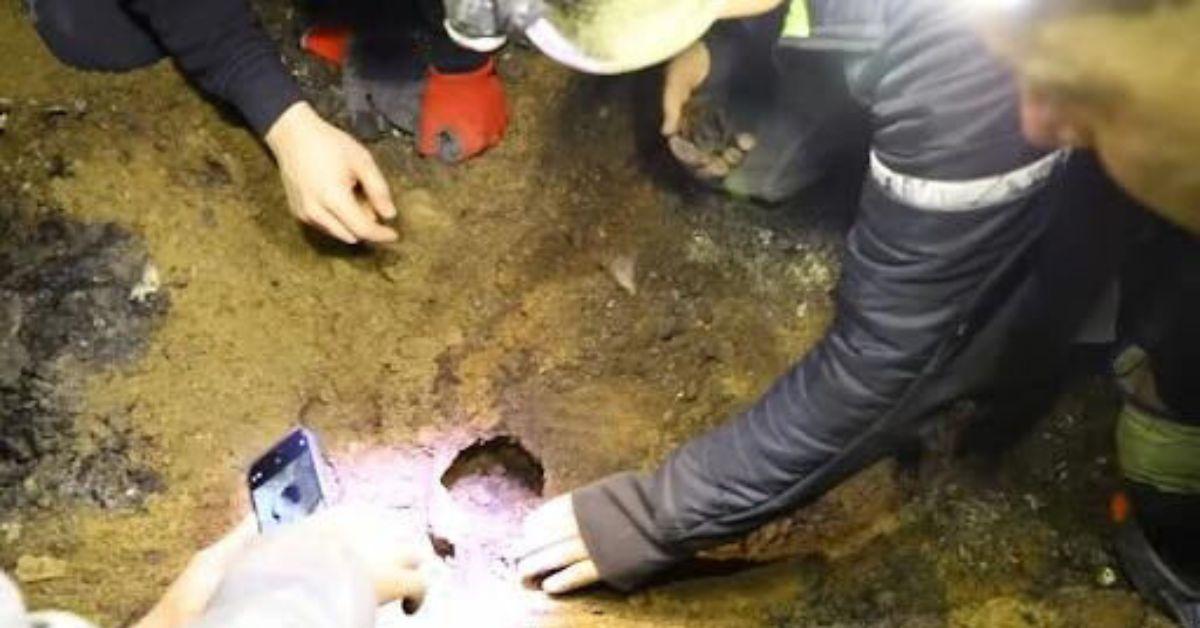 Five Bodies Found Underneath Adolf Hitler's Secret Wolf's Lair Headquarters