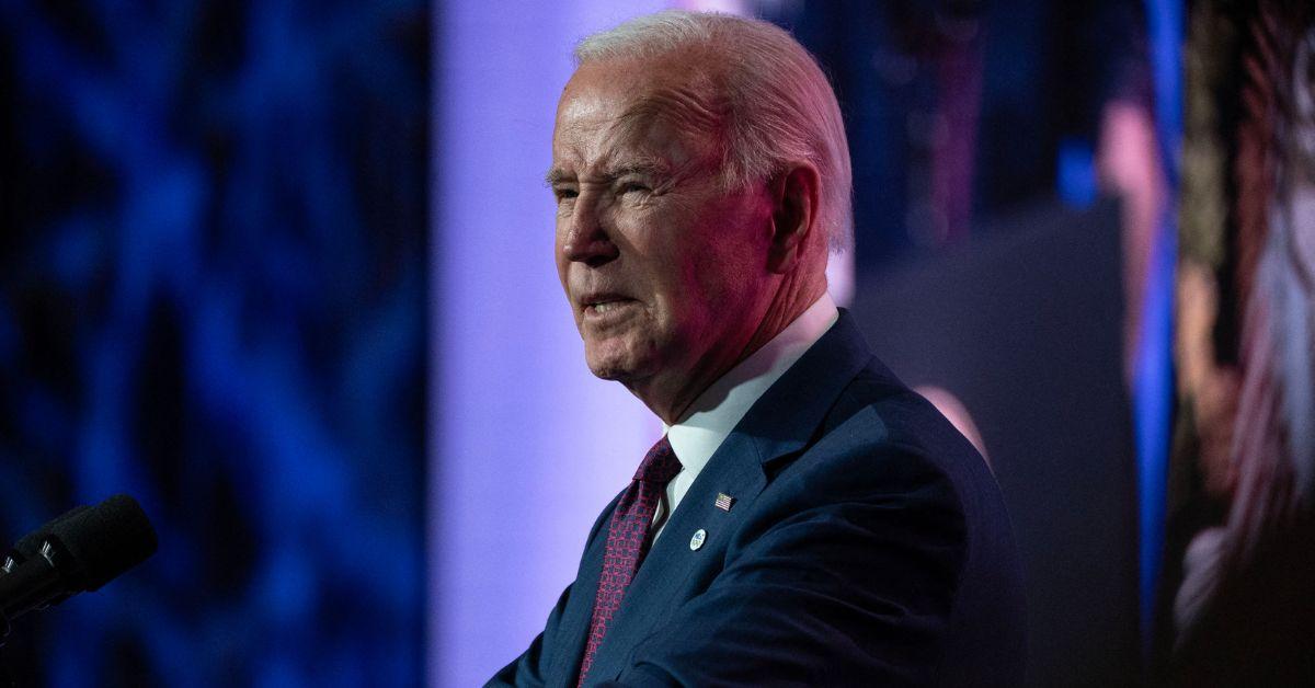 Donald Trump Nicknamed 'Hitler Pig' by President Biden's Younger ...