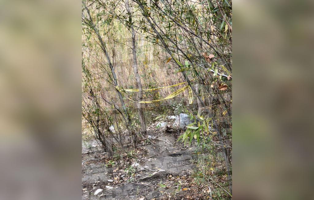 Mark Salling Suicide Scene -- ‘Remote’ Spot Where Star's Body Was Found