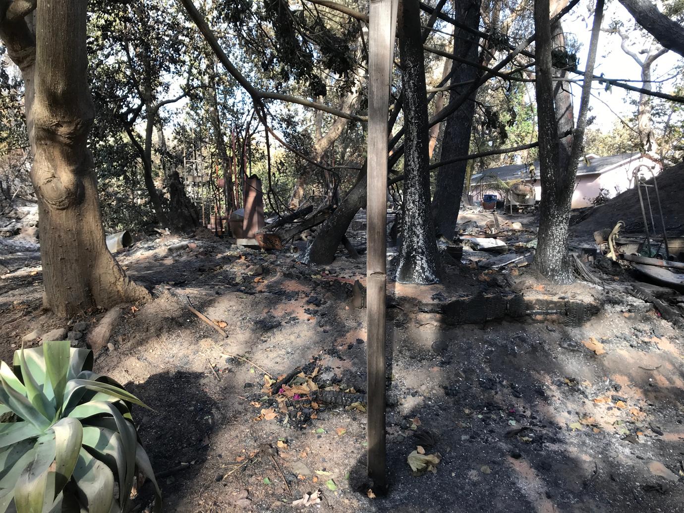 Nick Nolte Home Badly Damaged In CA Wildfires