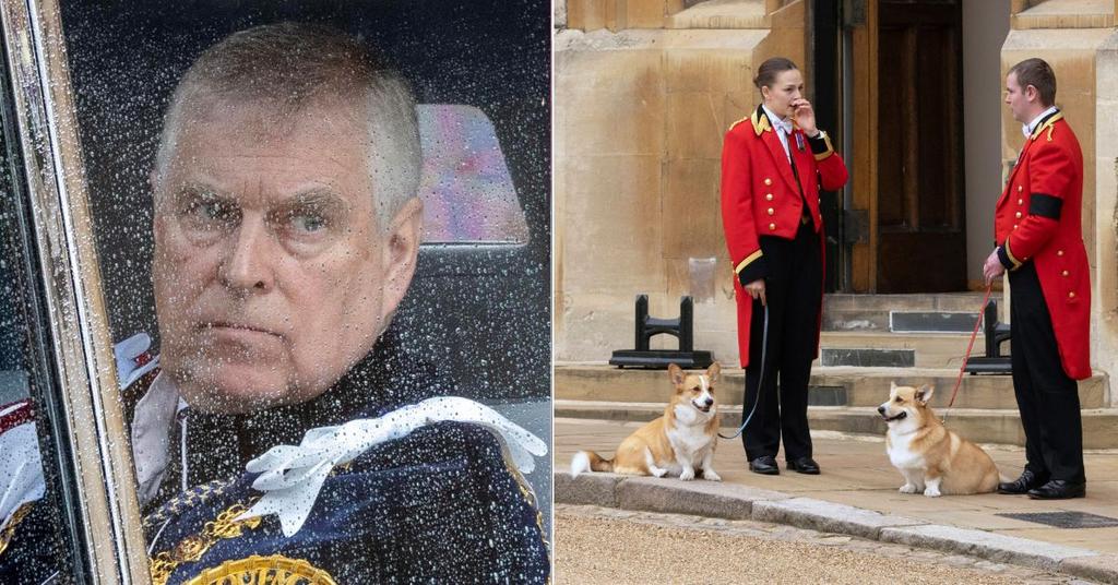 Prince Andrew Refuses to Walk Late Queen Elizabeth's Corgis