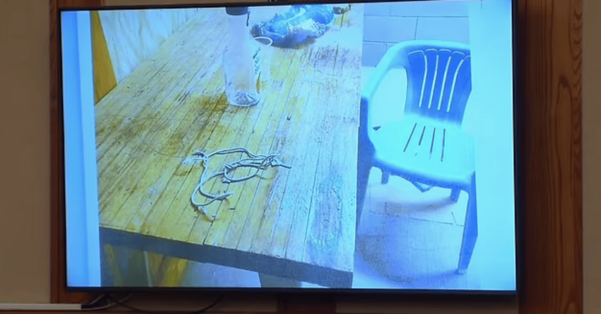 White Couple Accused of Forcing Adopted Black Children to Work as Slaves, Live in Barn