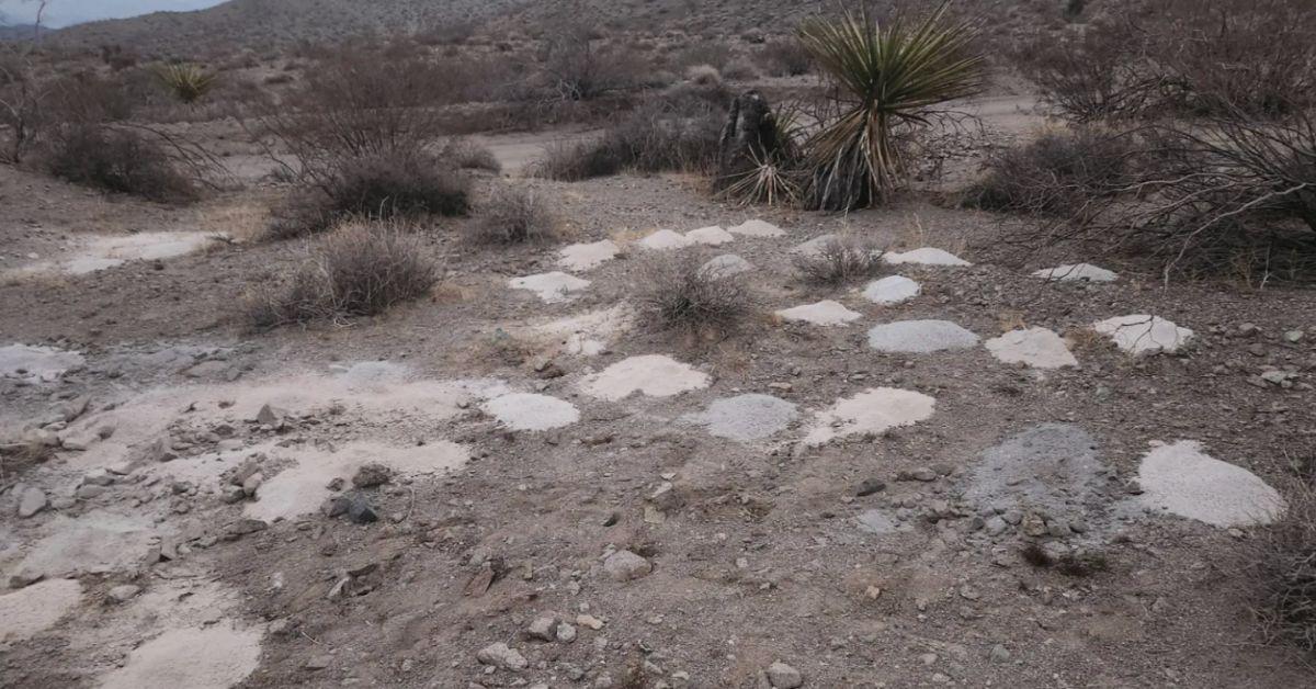 Dozens Of Piles Of Cremated Human Remains Found Outside Las Vegas
