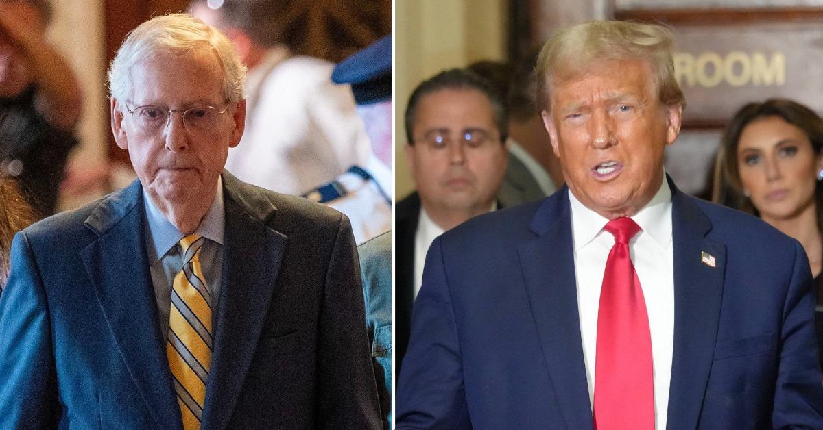 McConnell Blasts Trump for Hypocrisy Over Immigrants Remark