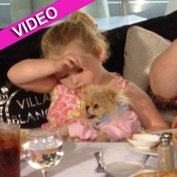 What Pooch Doesn’t Love Pasta? Honey Boo Boo Child Feeds Lisa ...