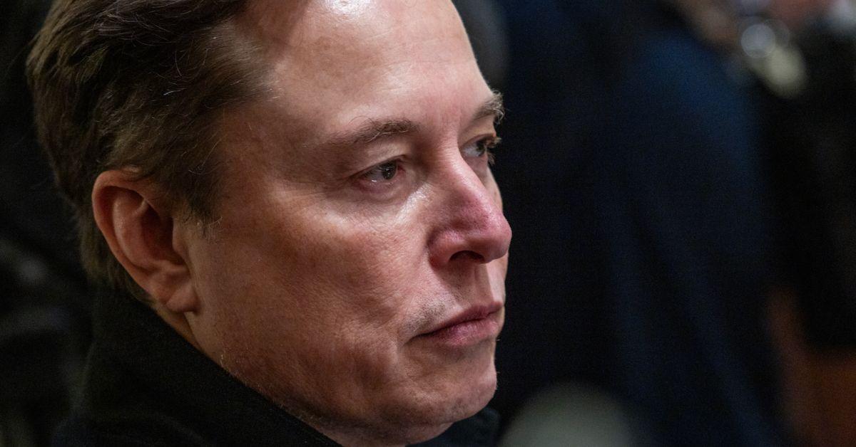 Elon Musk Blasts 'Evil' Stephen King After Author Rejects Epstein List