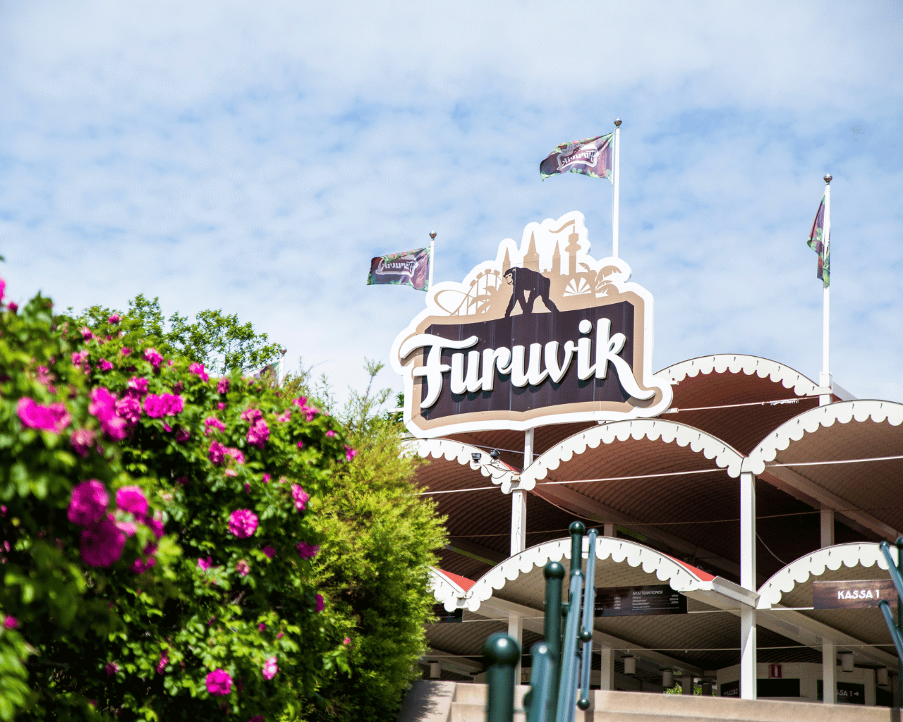 Chimps Escape Enclosure At Swedish Zoo, 3 Fatally Shot