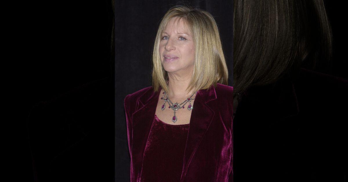 Barbra Streisand's Now A 'Full Recluse' And Avoids 'Hollywood Chaos'