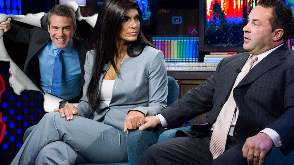 Radar Told You First! Teresa & Joe Giudice Will Sit Down With Andy ...