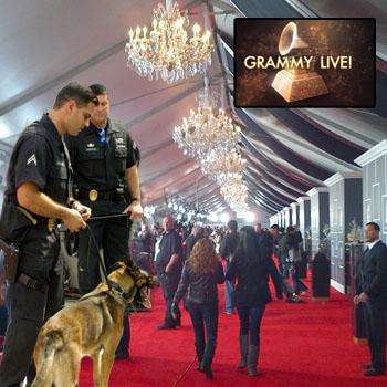Grammy Awards' Security Increased As Suspected Killer Christopher ...