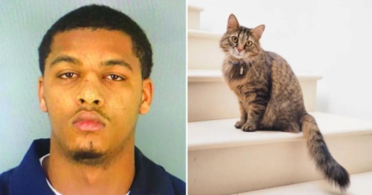 Texas Man Sentenced for Kicking Cat Like 'Field Goal,' Setting on Fire