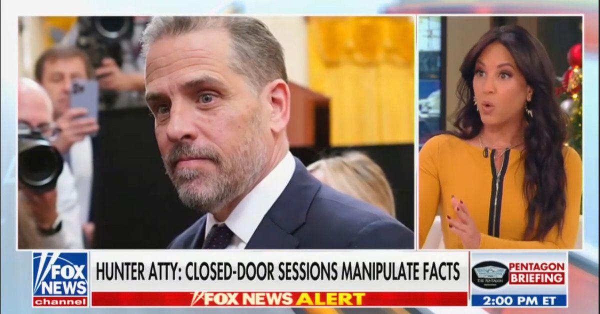 Fox News Host Trashes Hunter Biden for Offering to Testify Before House GOP