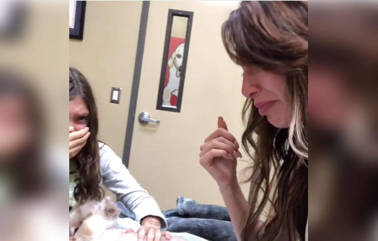 Farrah Abraham’s Dog Dies HOURS After Dead Pet Prank Causes Backlash