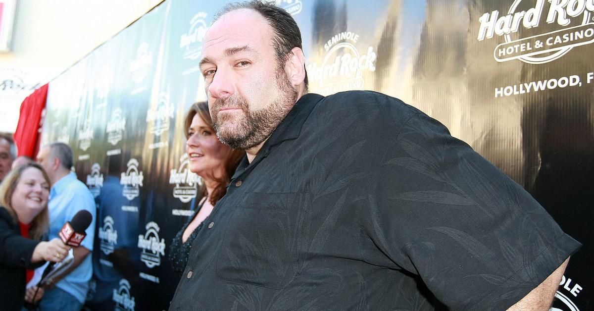 James Gandolfini's Drink-Fuelled Depression Over Filming Hit Show 'The ...