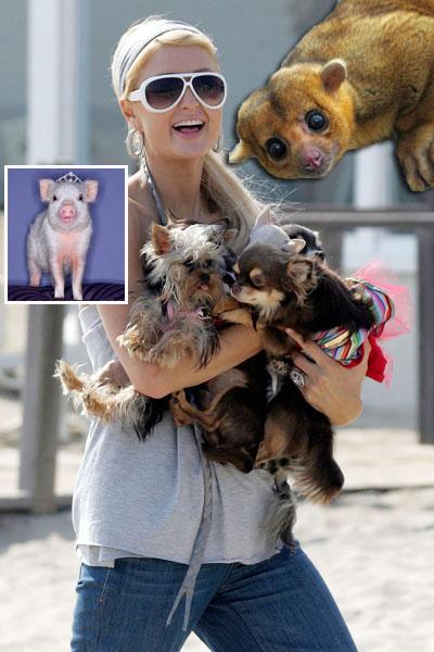 PHOTOS: Really Bizarre Celebrity Pets