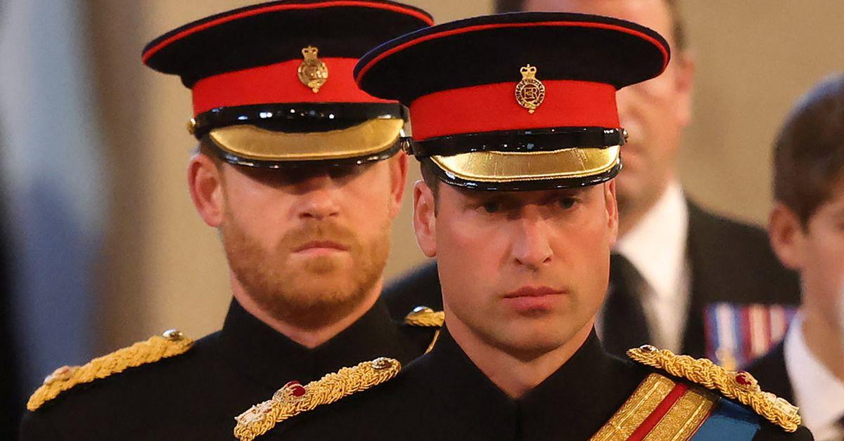 Prince Harry's Royal Peace Talks 'Mean Nothing' Without Prince William