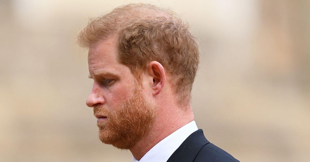 Palace Set To Sideline Prince Harry & Andrew In Favor Of Anne & Edward