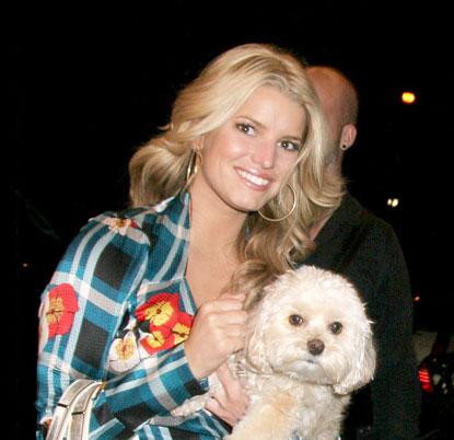 Jessica Simpson and her dog Daisy