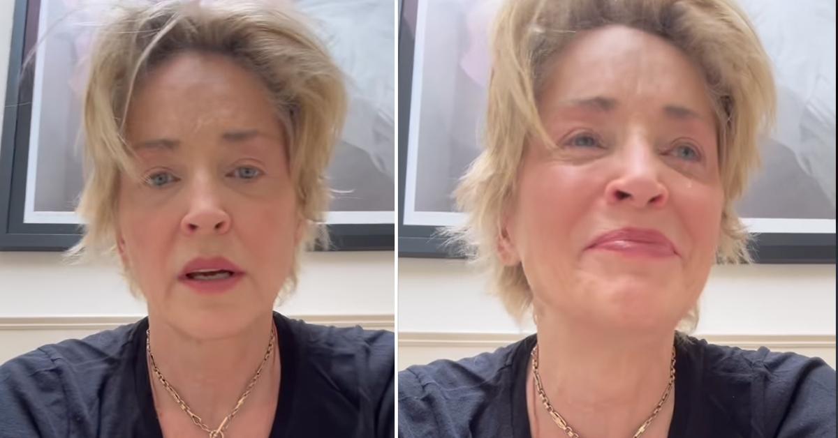 Sharon Stone Breaks Down Over Brother Patrick's Sudden Death