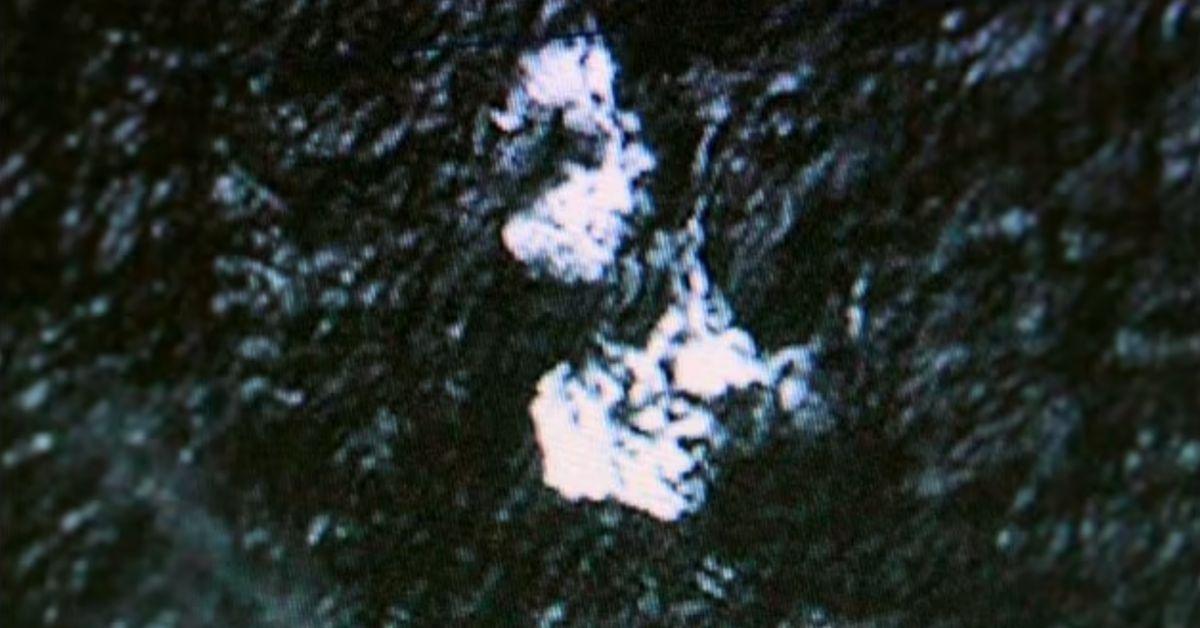 Is This The Wreck Of MH370? Researcher Claims Images Show ‘Almost Perfect Match’