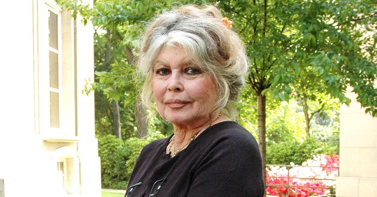 Brigitte Bardot Planning 'Revenge Tell-All' About Hollywood's Sleaze