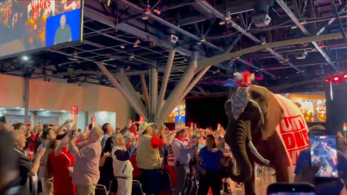 Texas GOP's 'Unity' Elephant Pees On Convention Floor