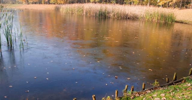 Missing Michigan Doctor Found Dead In Frozen Pond