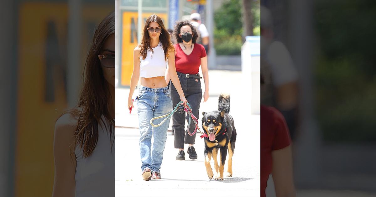 Emily Ratajkowski Files For Divorce From Sebastian Bear-McClard