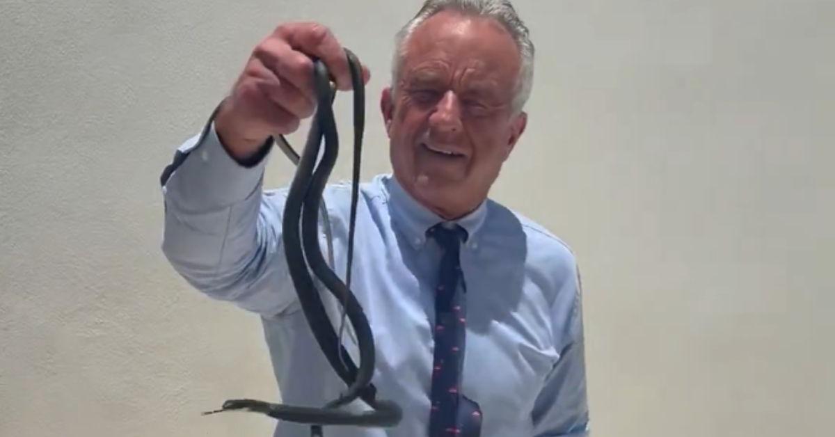 RFK Jr. Grabs Pair of Wild Snakes with His Bare Hands in Shocking Video