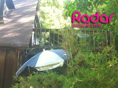 EXCLUSIVE PHOTOS: Yvette Vickers Found Mummified In Her Beverly Hills Home