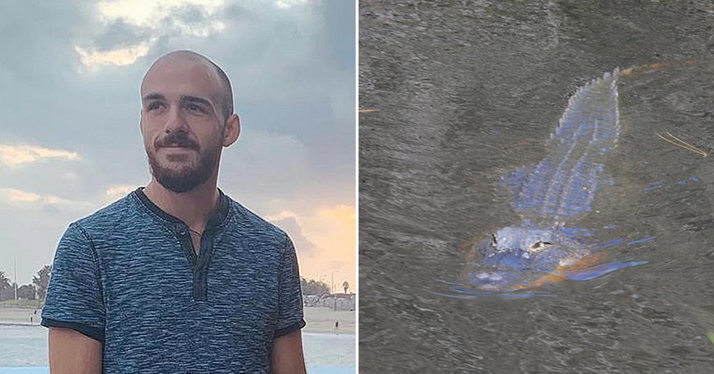 Brian Laundrie Death Investigation: Alligators Seen In Swamp Near Where ...
