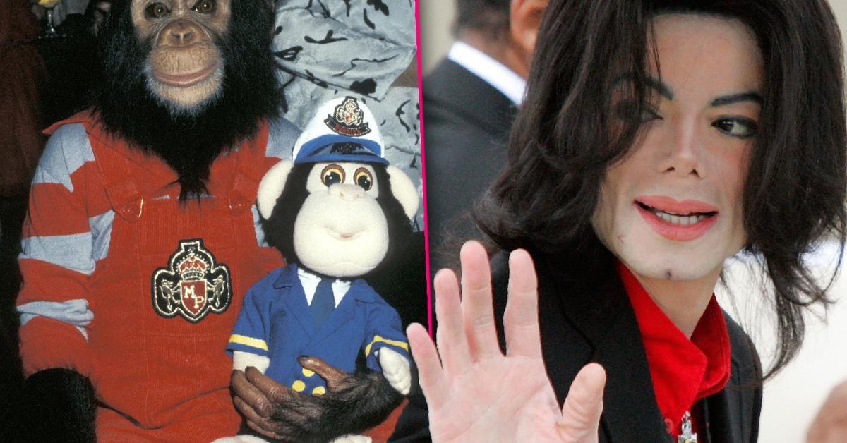 Michael Jackson's Chimp Bubbles Hates Him