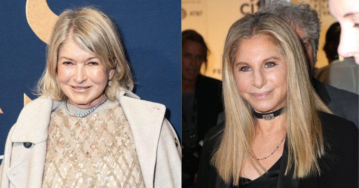 Brutal Barbra Streisand Vs Martha Stewart Catfight 'Exploding'