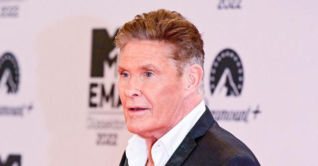 David Hasselhoff Now Wheelchair-Bound After ex-Wife's Shock Suidcide