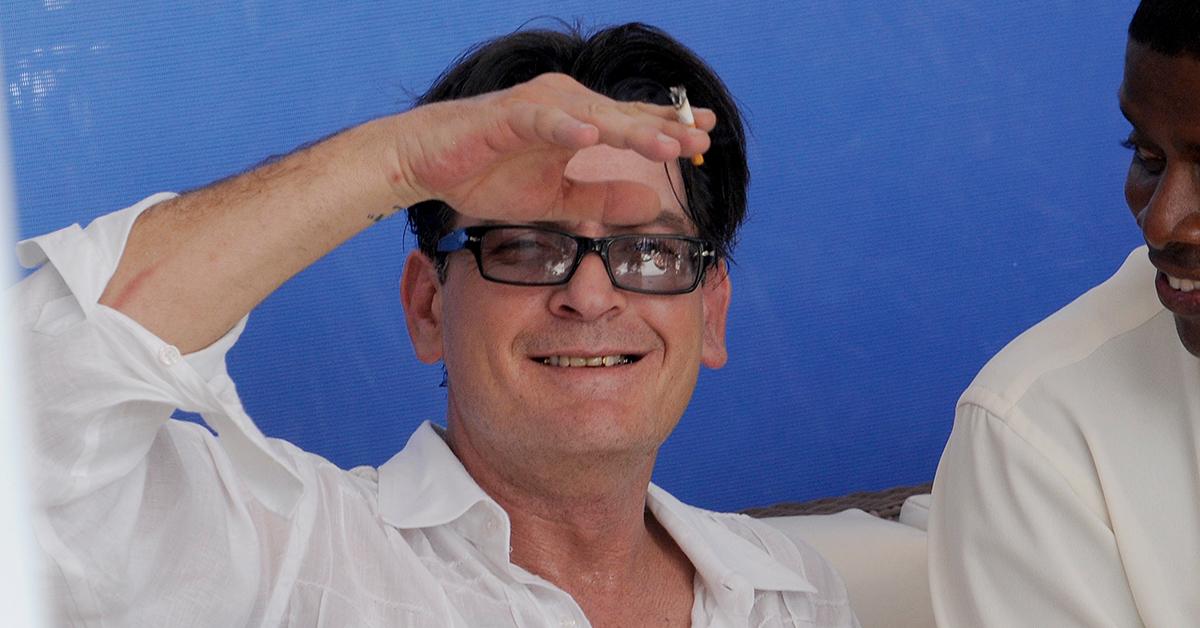 Charlie Sheen Says He's Raising Twin Sons Without Brooke Mueller