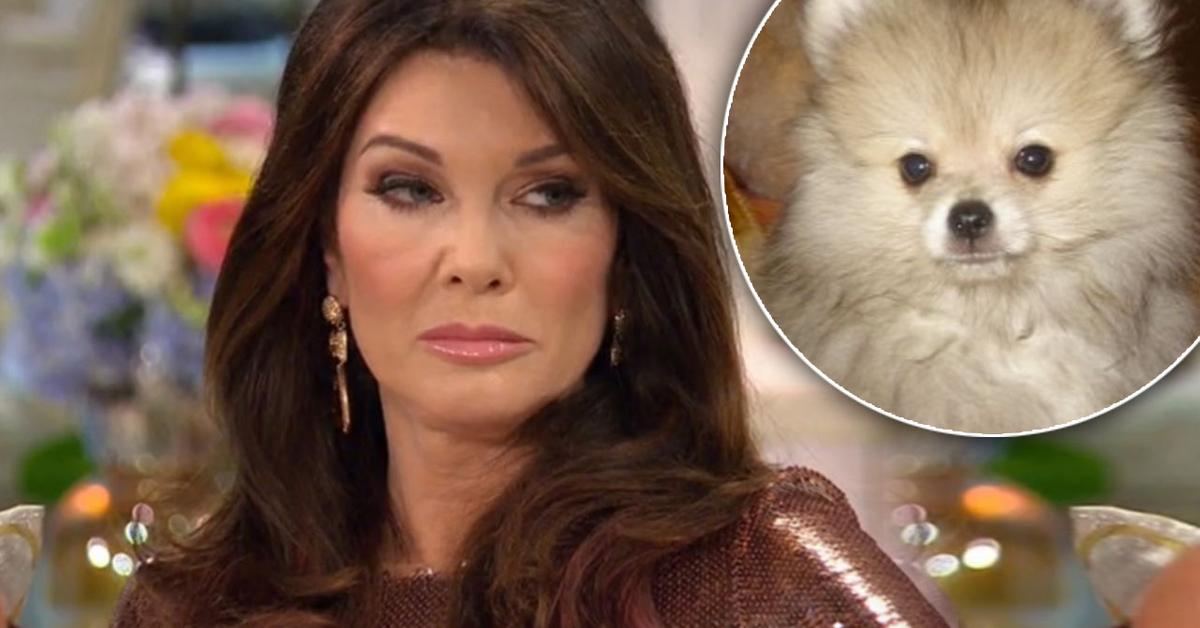 Lisa Vanderpump: Star’s Dog Pikachu Dies After Pink Dog
