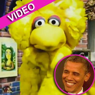 You Go Big Bird! The Most Hilarious ‘Negative’ Political Ad Ever