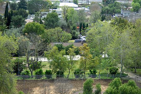 ‘Slap In The Face!’ Patrick Swayze’s Widow Lisa Niemi Sells His Beloved ...