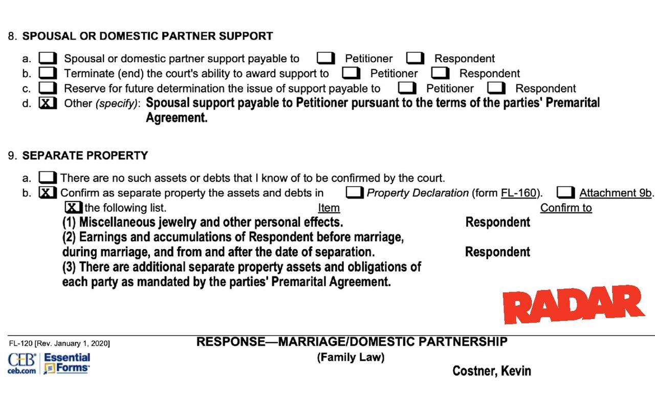 See Kevin Costner's Divorce Docs That Could Put His $250 Million ...