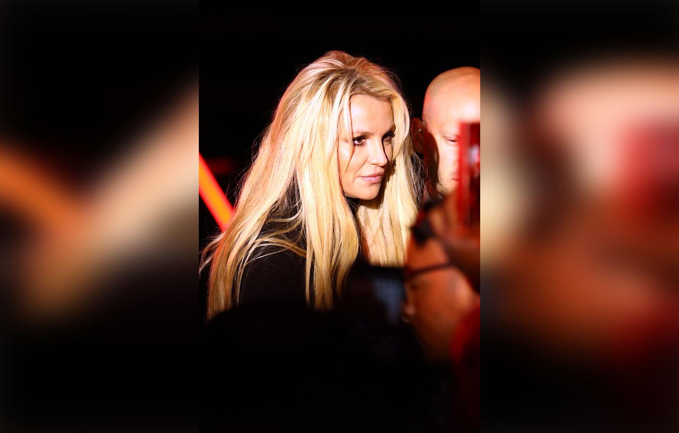 Britney Spears' Lawyer Samuel Ingham Paid $3 Million From Singer In ...