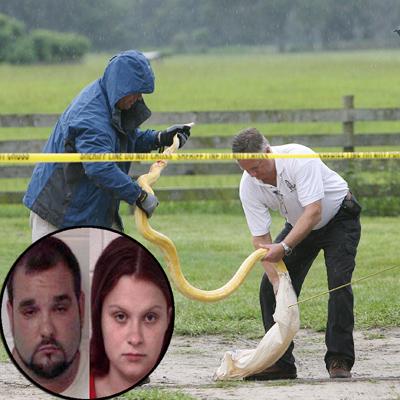 Florida Couple Stands Trial After Starving Python Kills 2-Year-Old Girl