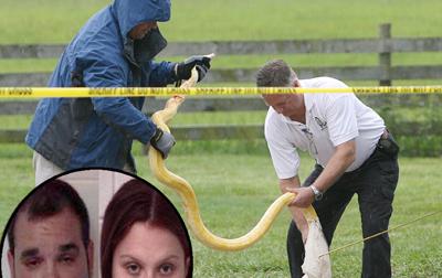 Florida Couple Stands Trial After Starving Python Kills 2-Year-Old Girl