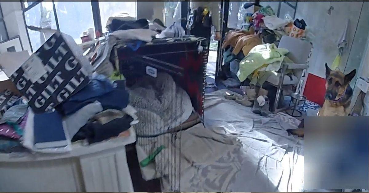 Gene Hackman's Rat Plagued Horror Hoarder Home Revealed